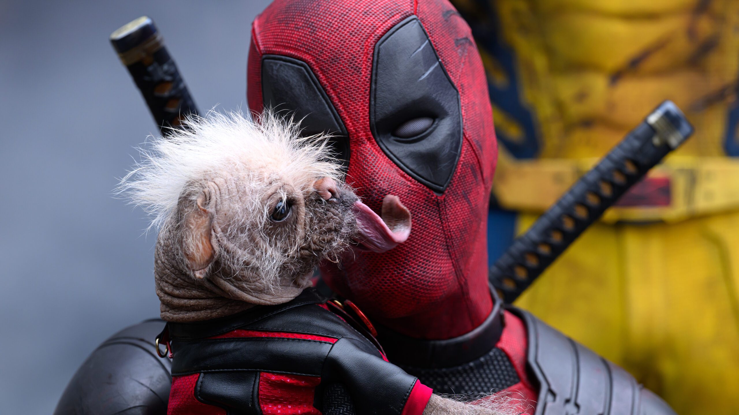 Αποκαλύφθηκε το τεράστιο budget του Deadpool & Wolverine! – TOM and CHILL